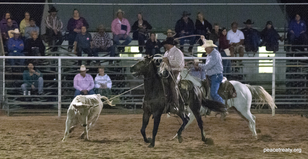 Peace Treaty Rodeos | Medicine Lodge, Kansas