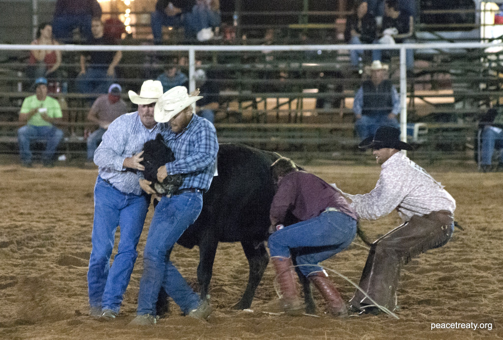 Peace Treaty Rodeos - Medicine Lodge, Kansas