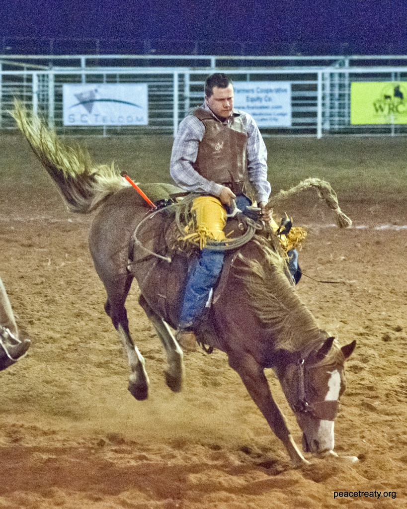 Peace Treaty Rodeos - Medicine Lodge, Kansas